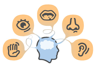 visual-sensory-processing-disorder-1 – STROKE LAB 東京/大阪 自費リハビリ | 脳卒中/神経系