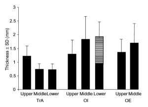 hukkin3 – STROKE LAB 東京/大阪 自費リハビリ | 脳卒中/神経系