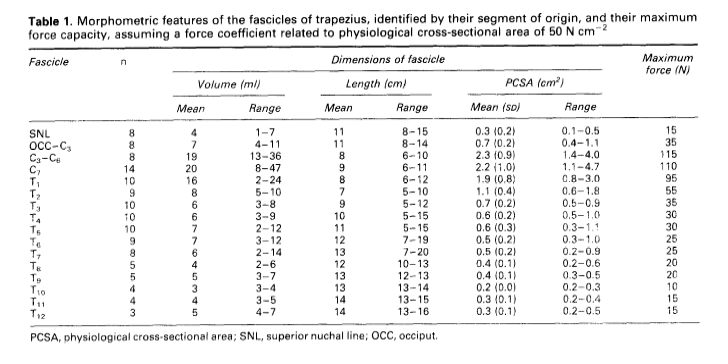 ewgh – STROKE LAB 東京/大阪 自費リハビリ | 脳卒中/神経系