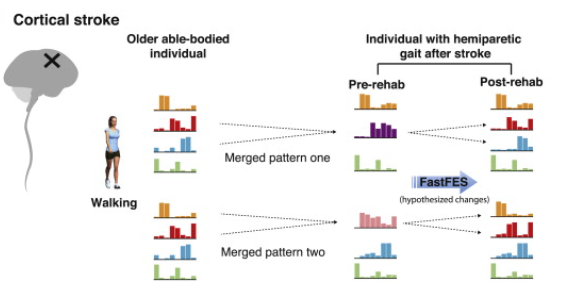 chjv – STROKE LAB 東京/大阪 自費リハビリ | 脳卒中/神経系