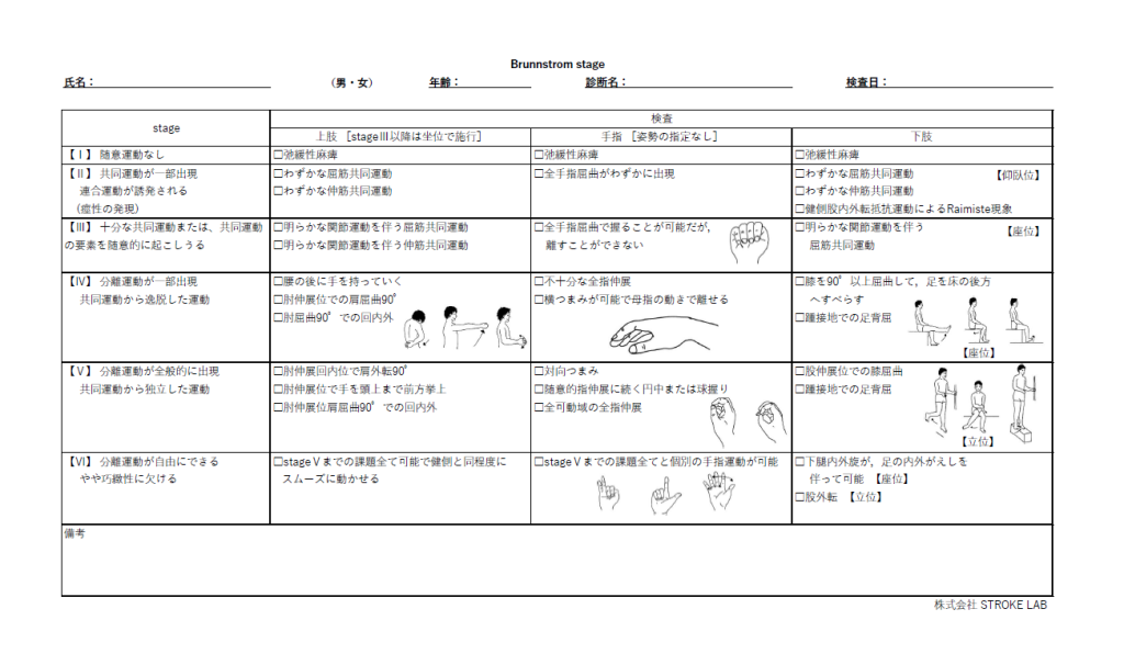 【2024年版】ブルンストロームステージとは？(Brs 評価)・上田式リハビリ・上肢・手指・下肢 – STROKE LAB 東京/大阪 自費リハビリ | 脳卒中/神経系