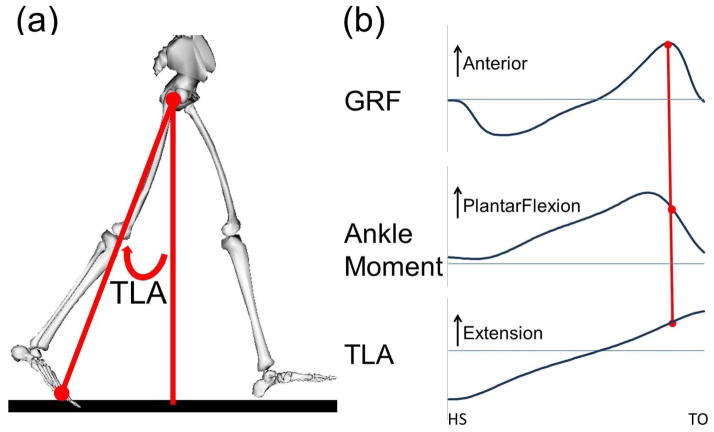 The Relative Contribution of Ankle Moment and Trailing Limb Angl – STROKE LAB 東京/大阪 自費リハビリ | 脳卒中/神経系