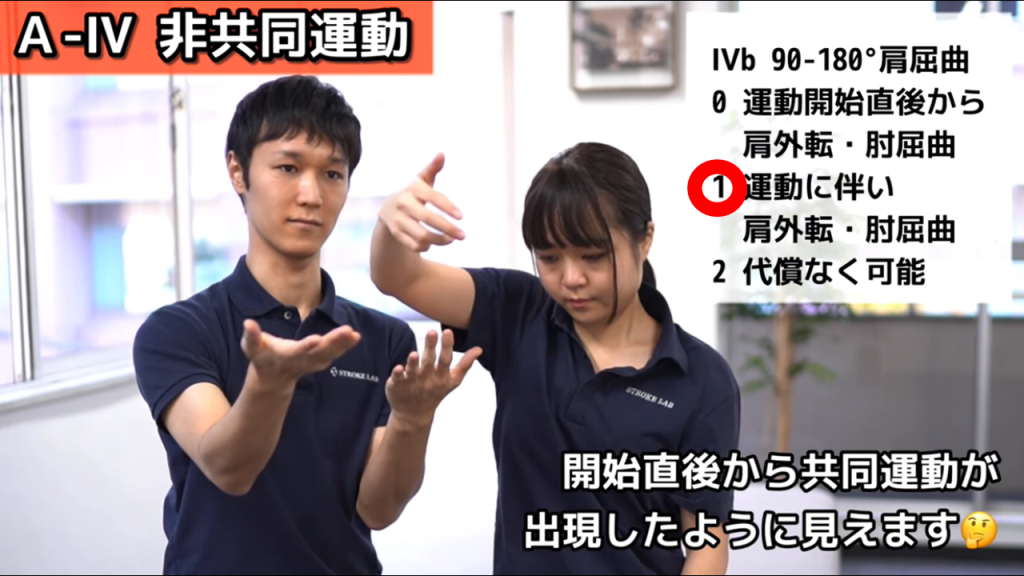 FMA (6) – STROKE LAB 東京/大阪 自費リハビリ | 脳卒中/神経系